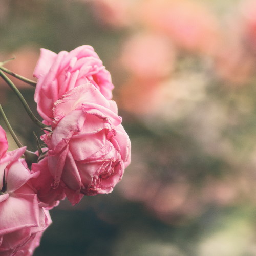 What Are A Baby's Eye Development Milestones?